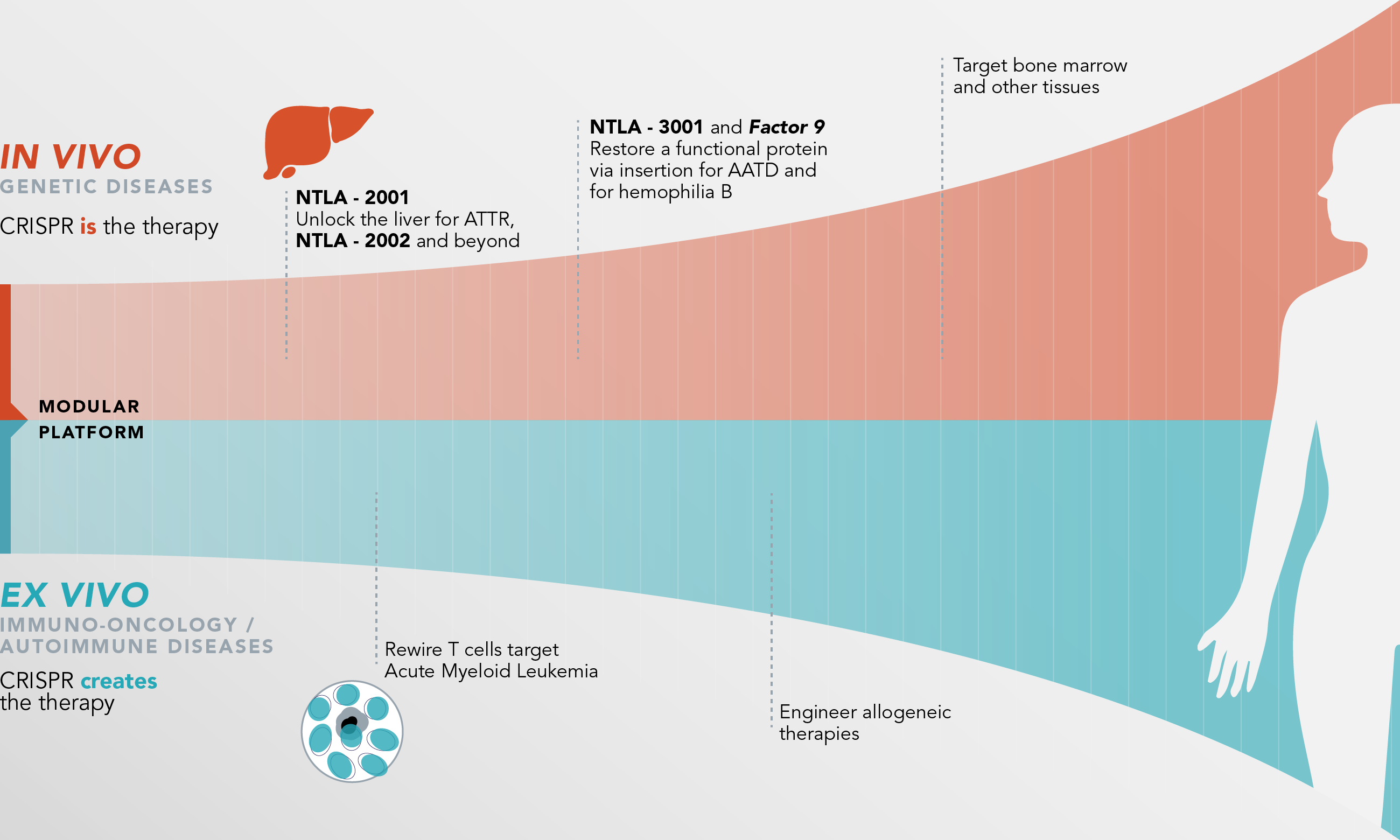 Full-Spectrum Approach - Intellia Therapeutics